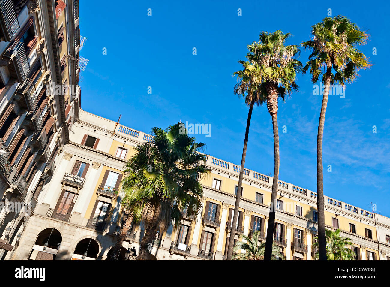 Palm trees at Placa Reial, Barcelona Stock Photo - Alamy