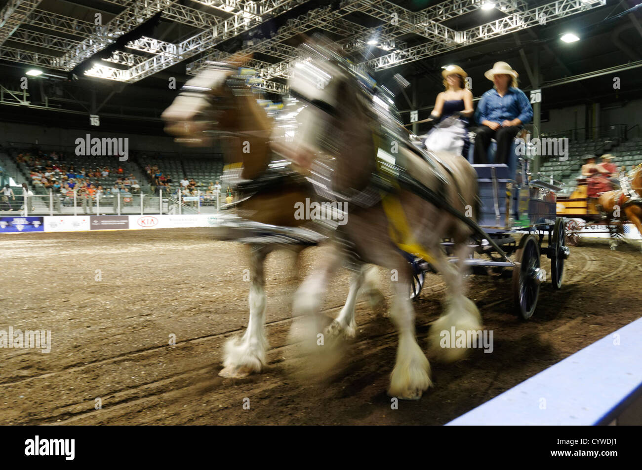 Horse and trap hi-res stock photography and images - Alamy