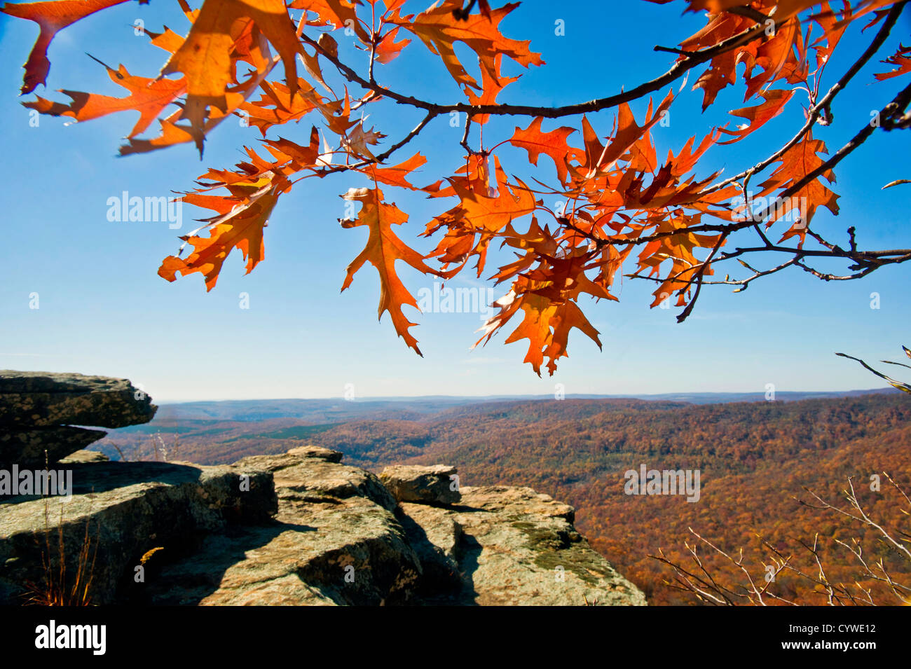 Mountain view arkansas hi-res stock photography and images - Alamy