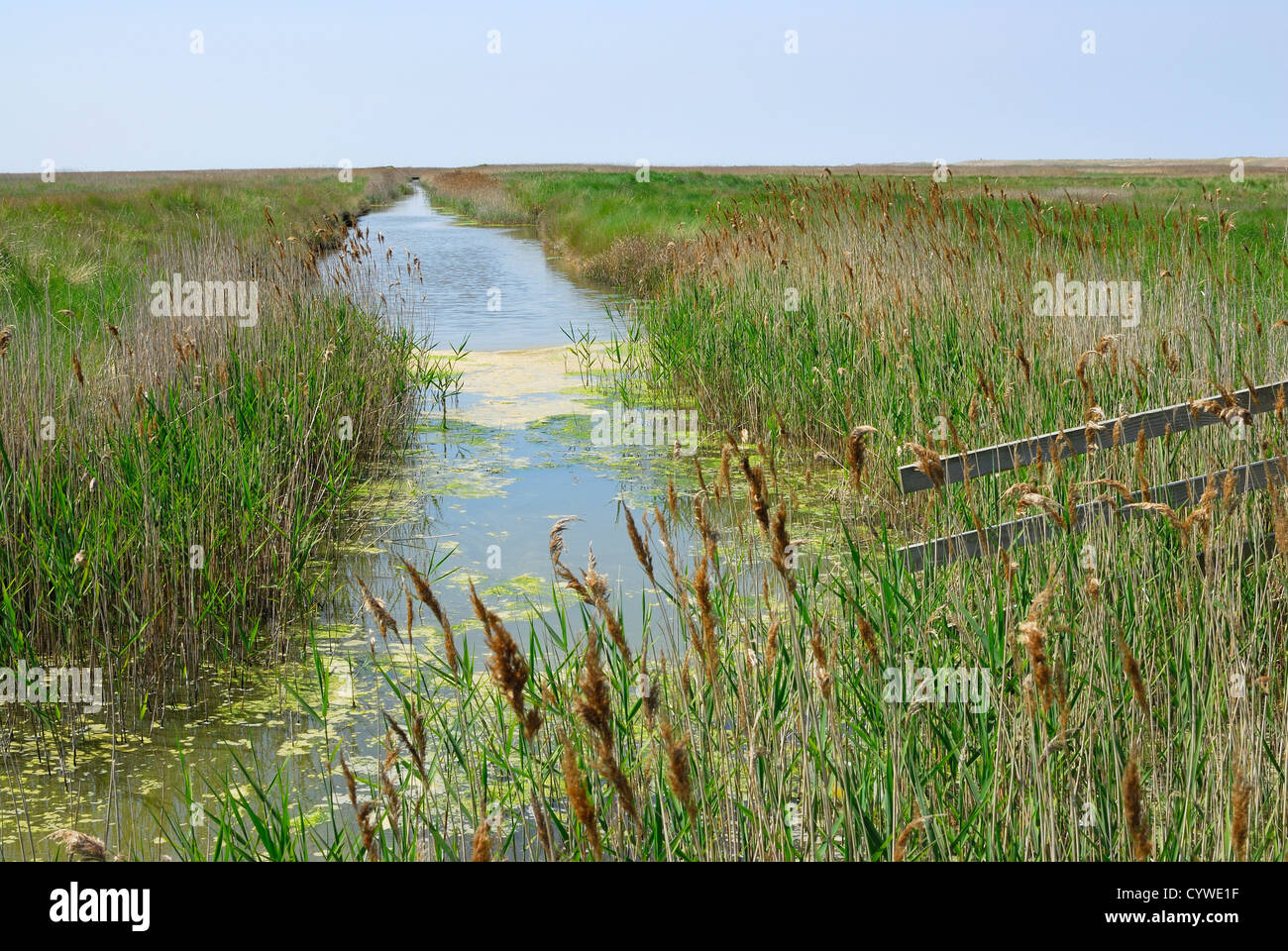 Norfolk east coast hi-res stock photography and images - Alamy
