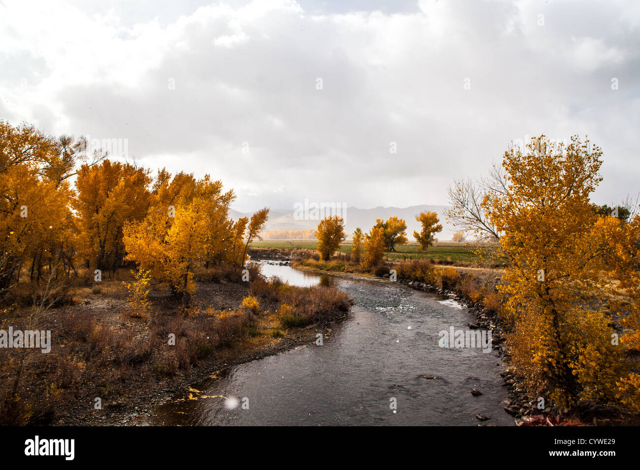 Truckee river scenery hi-res stock photography and images - Alamy