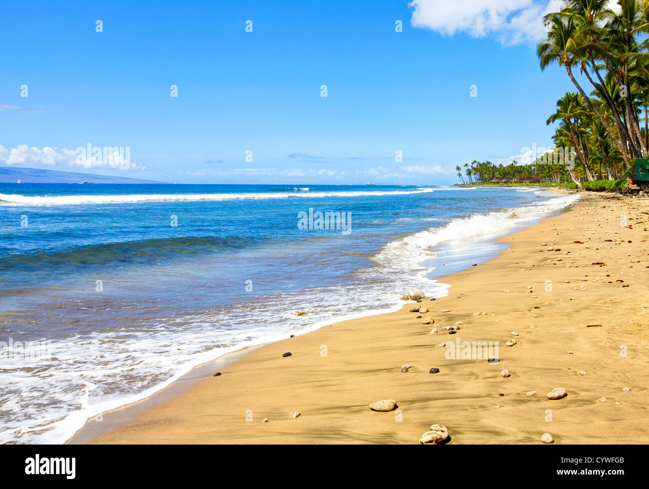 Island Maui gold sandy empty beach with palm trees. Hawaii Stock Photo ...