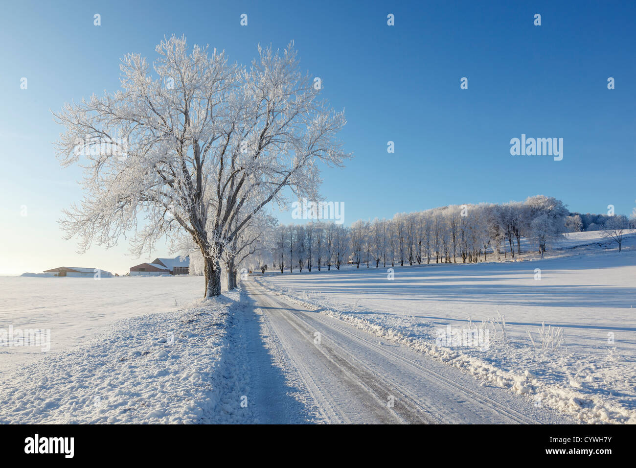 Countryside road in winter landscape Stock Photo - Alamy