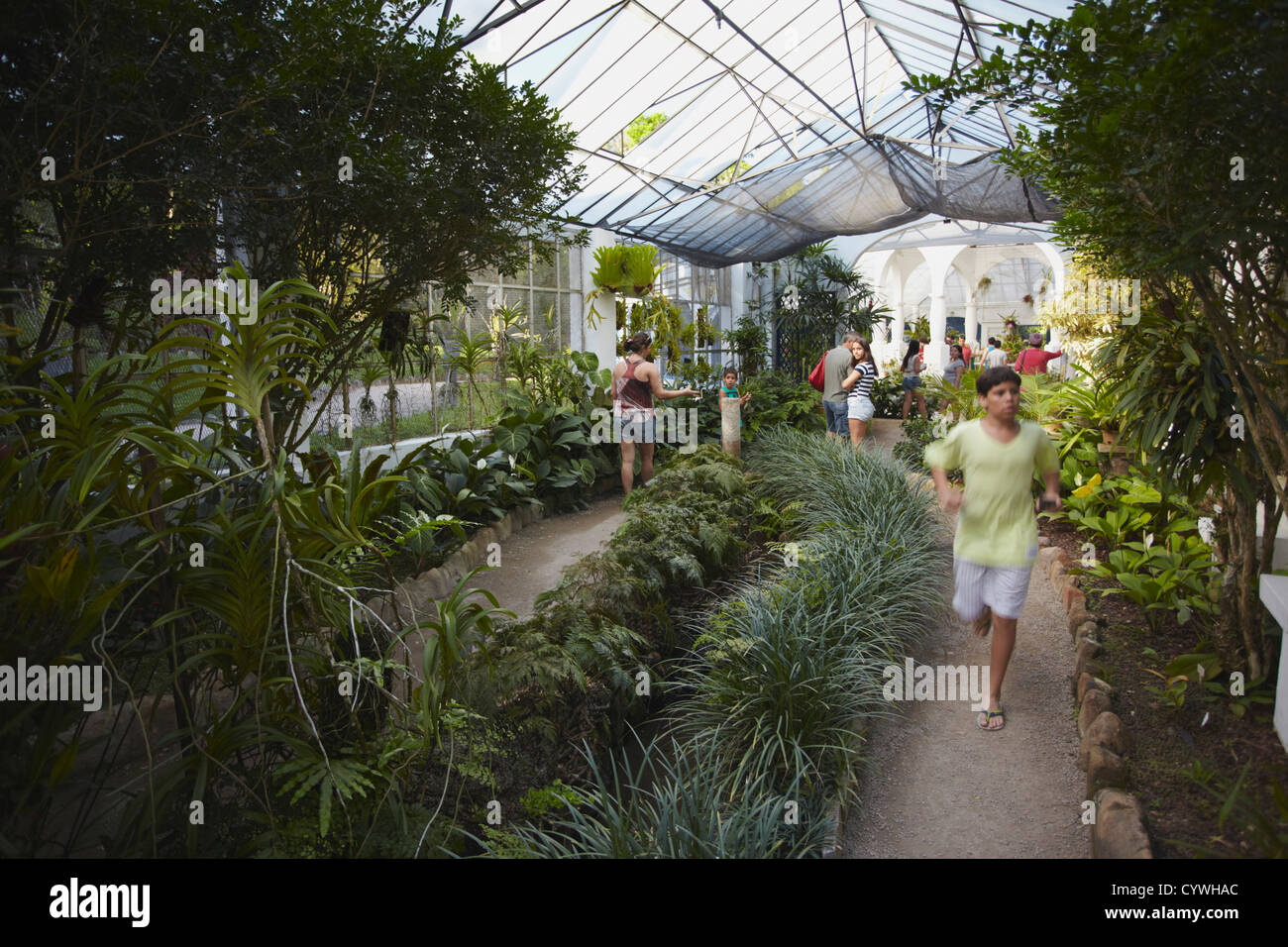 People inside orchid house at Botanical Gardens, Jardim Botanico, Rio ...