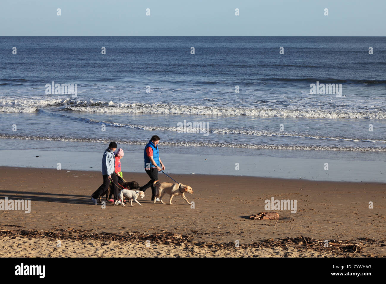 Family walking with dogs Seaburn beach Sunderland with the north sea in ...