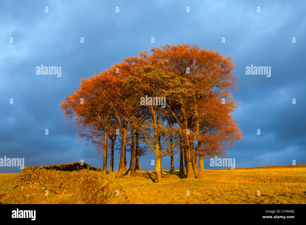 Hayfield village peak district hi-res stock photography and images - Alamy