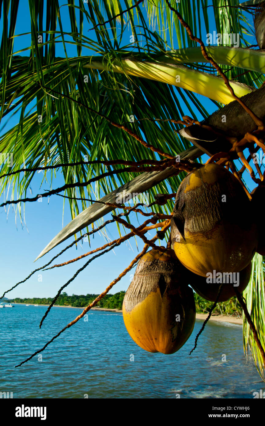 Nosy Be Island, Madagascar Stock Photo - Alamy