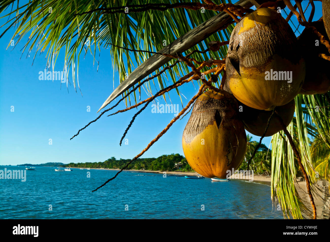 Nosy Be Island, Madagascar Stock Photo - Alamy