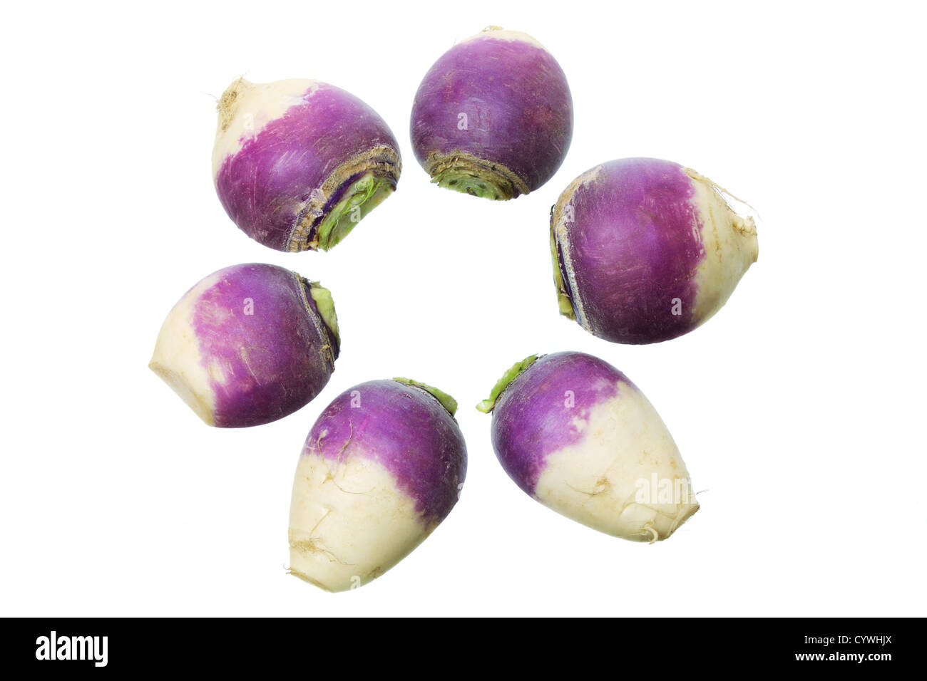 Circle of radish hi-res stock photography and images - Alamy