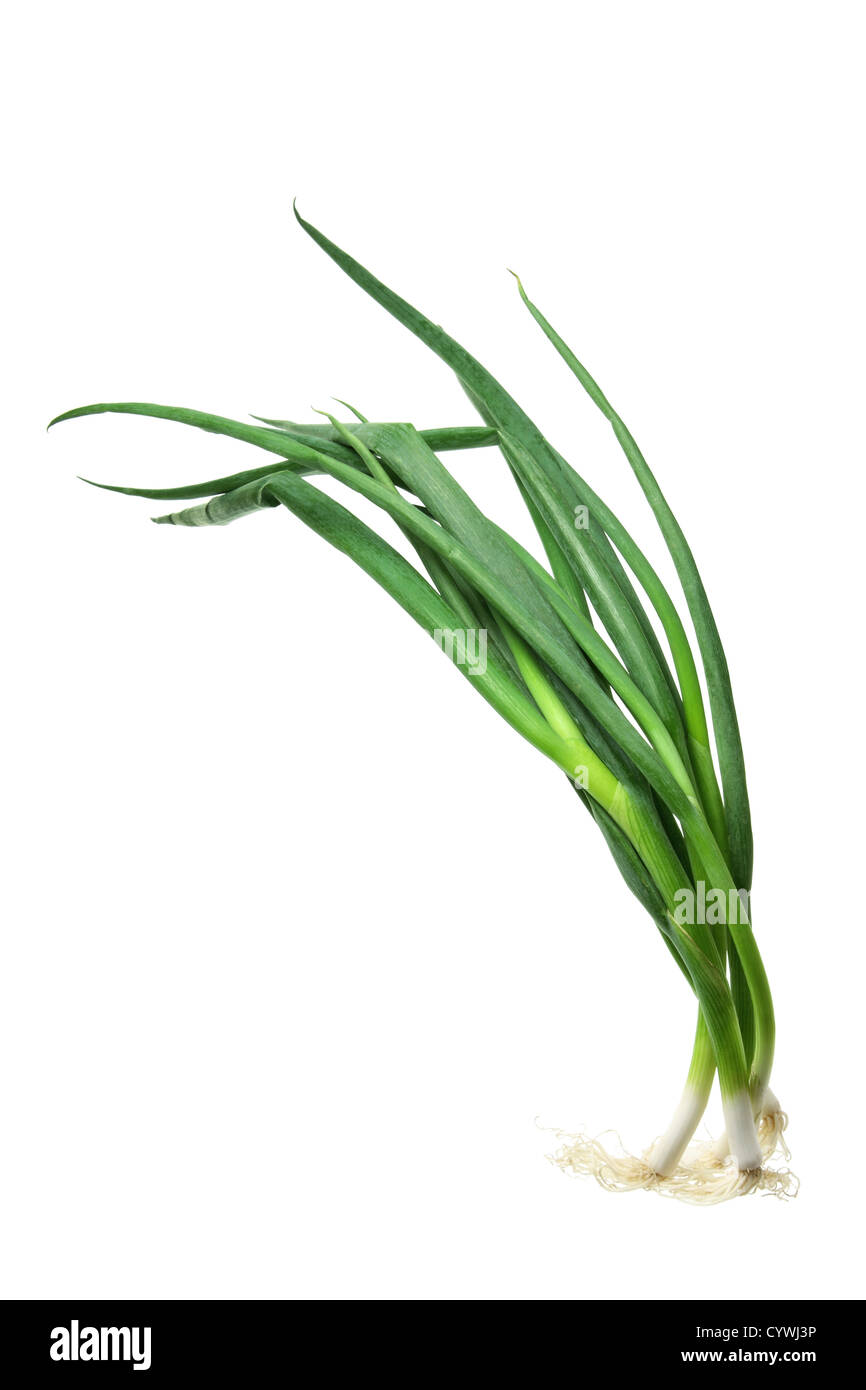 Spring onions hi-res stock photography and images - Alamy