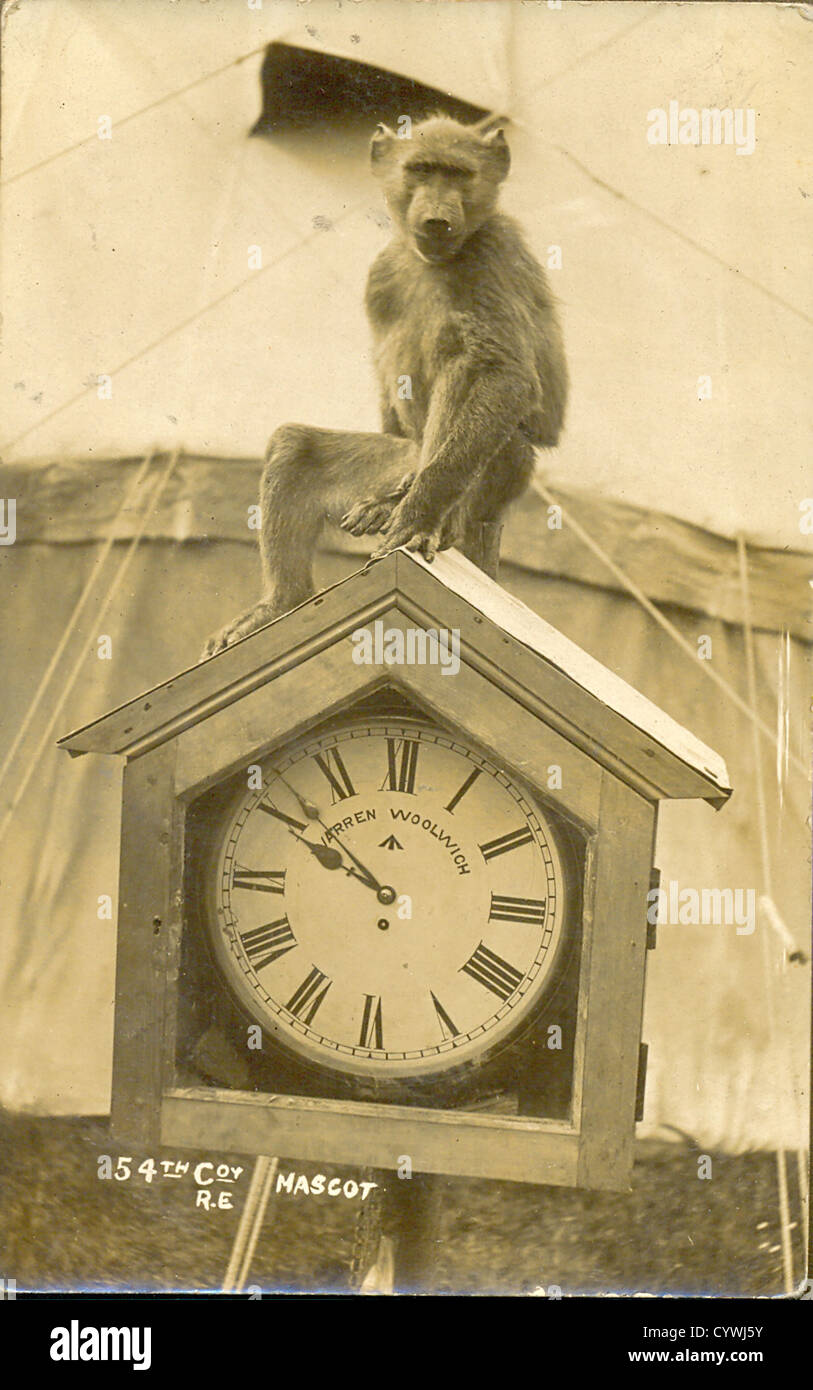 Military mascot hi-res stock photography and images - Alamy