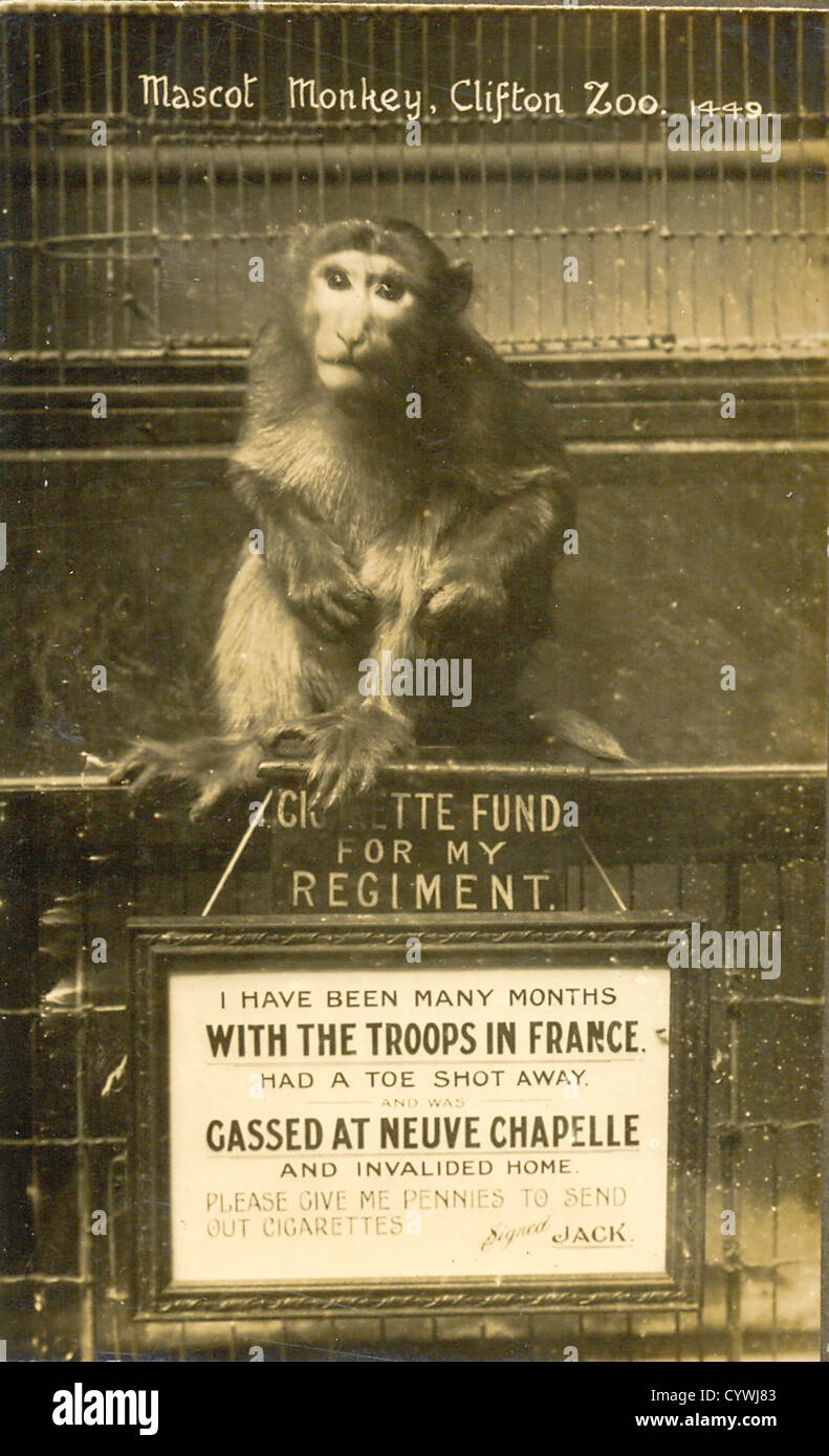 Monkey mascot ww1 hi-res stock photography and images - Alamy