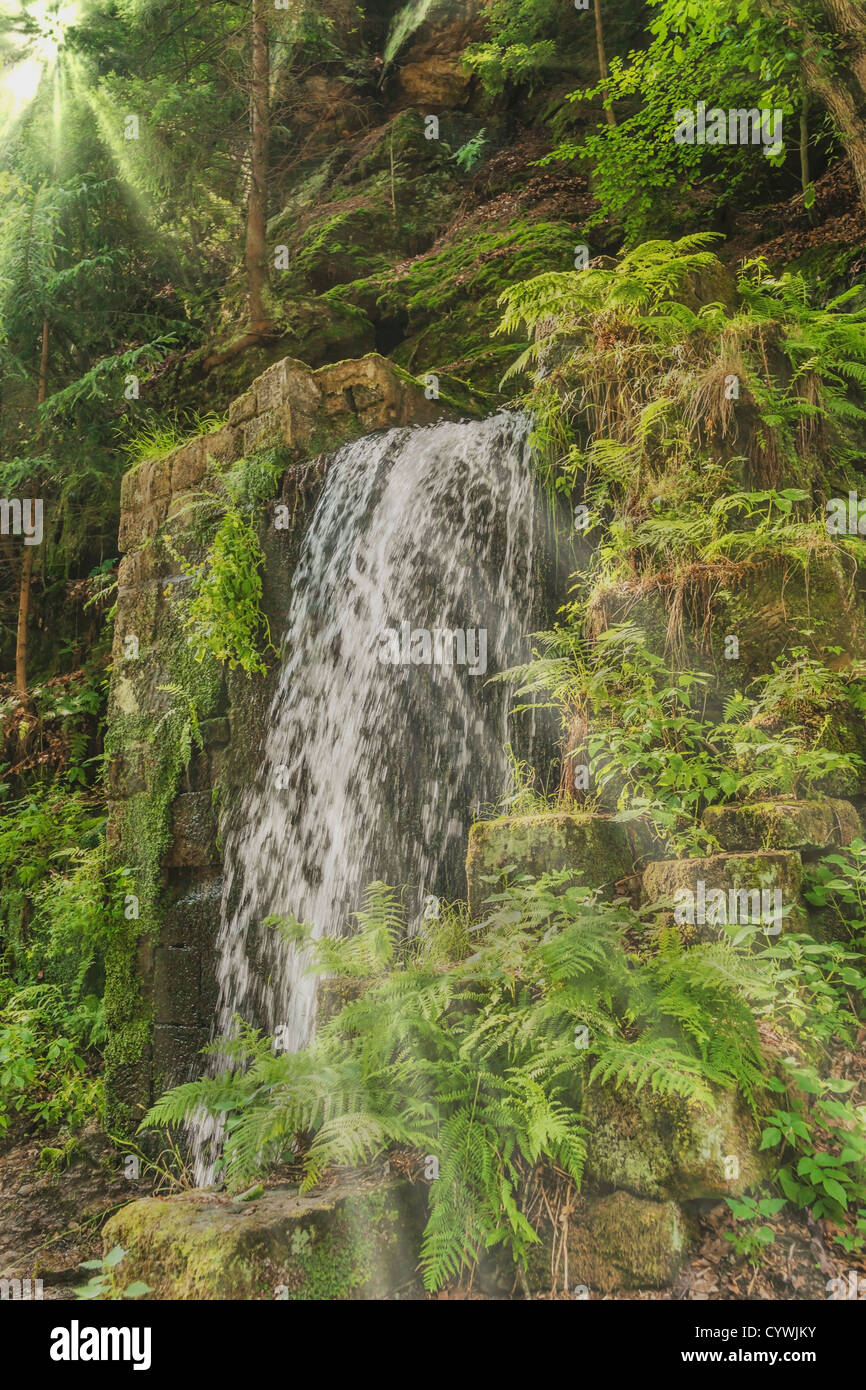 Small waterfall in the forest, the sun shining through the trees Stock ...