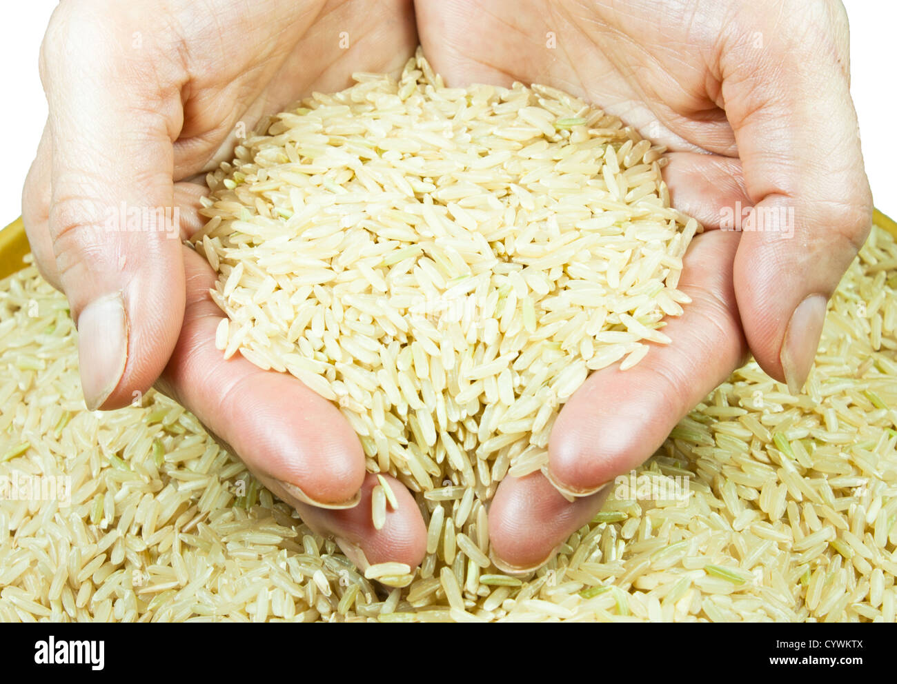 Rice in the dish. Put a scoop of rice by hand Stock Photo - Alamy