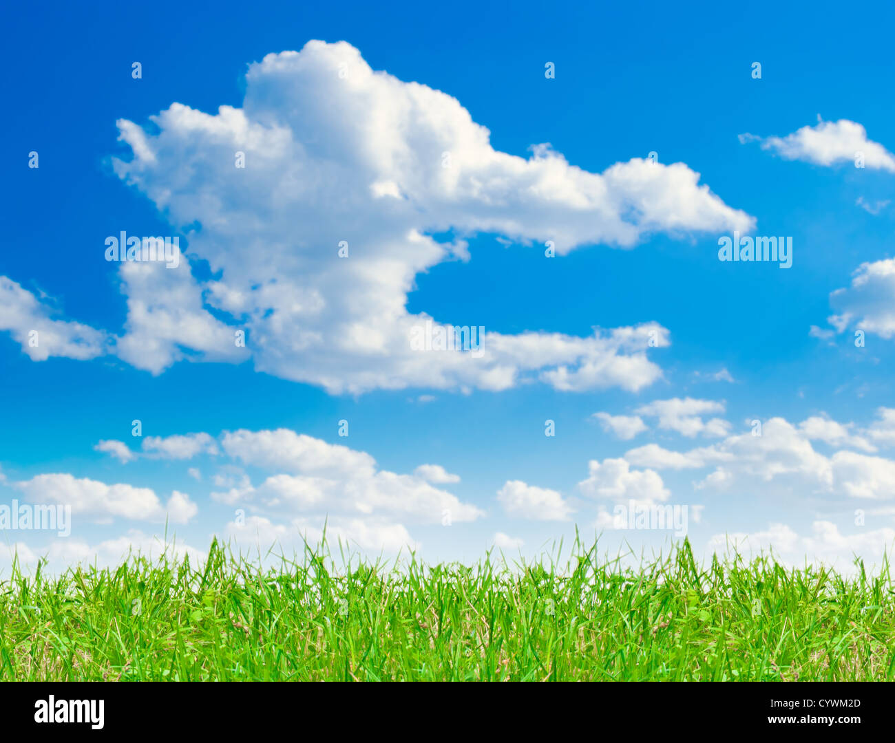 Clear blue sky background with green grass Stock Photo - Alamy
