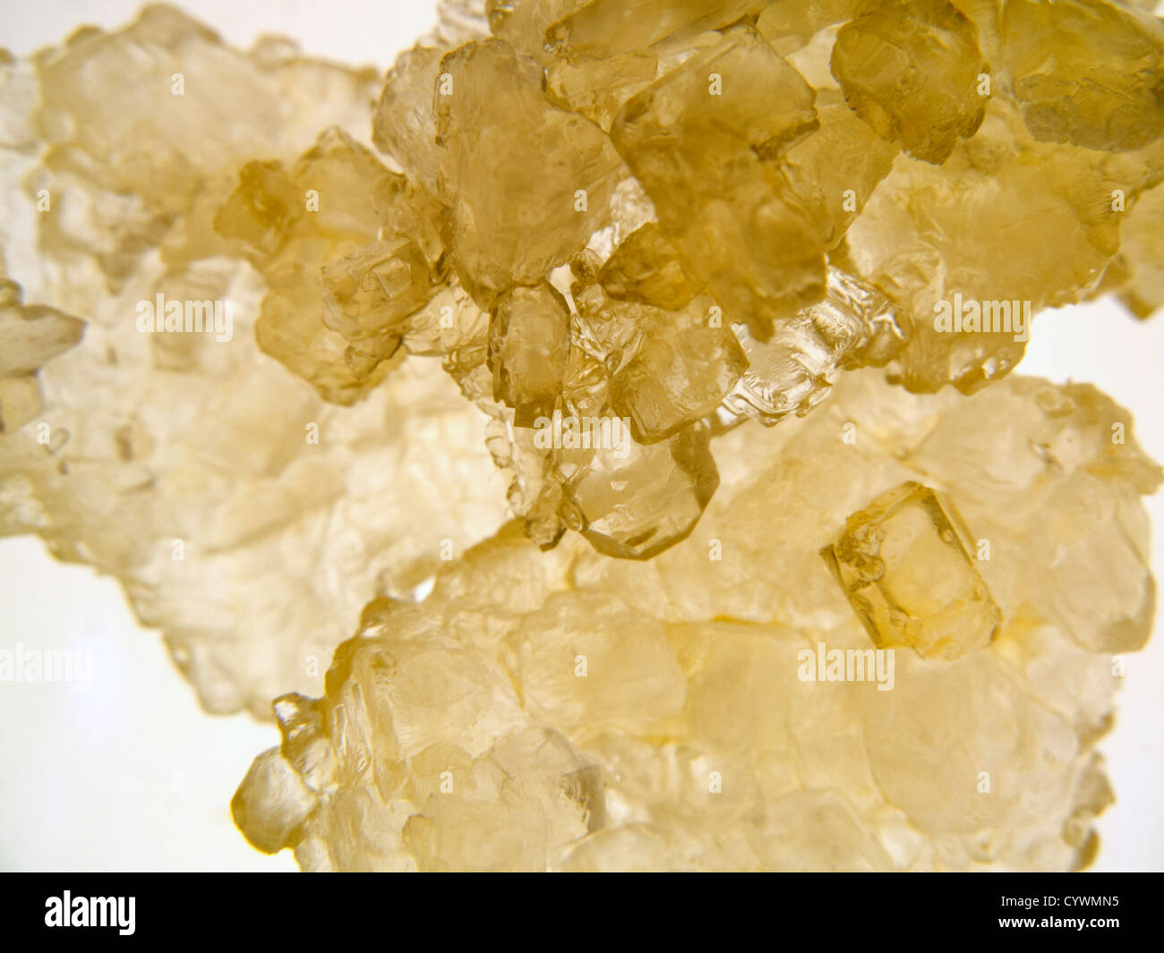 maple syrup crystals Stock Photo - Alamy