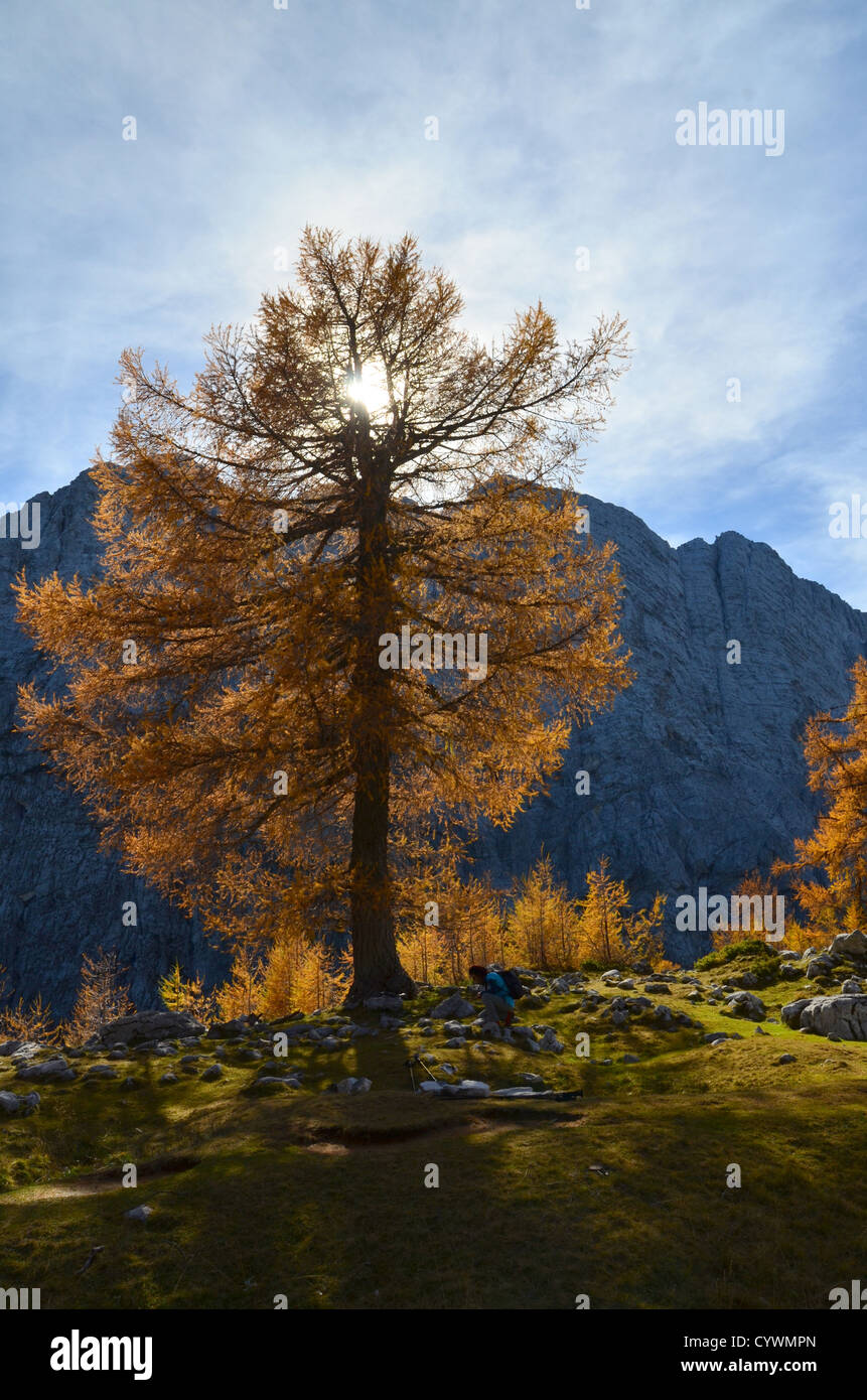 Sleme at Julian Alps, Slovenia Stock Photo - Alamy