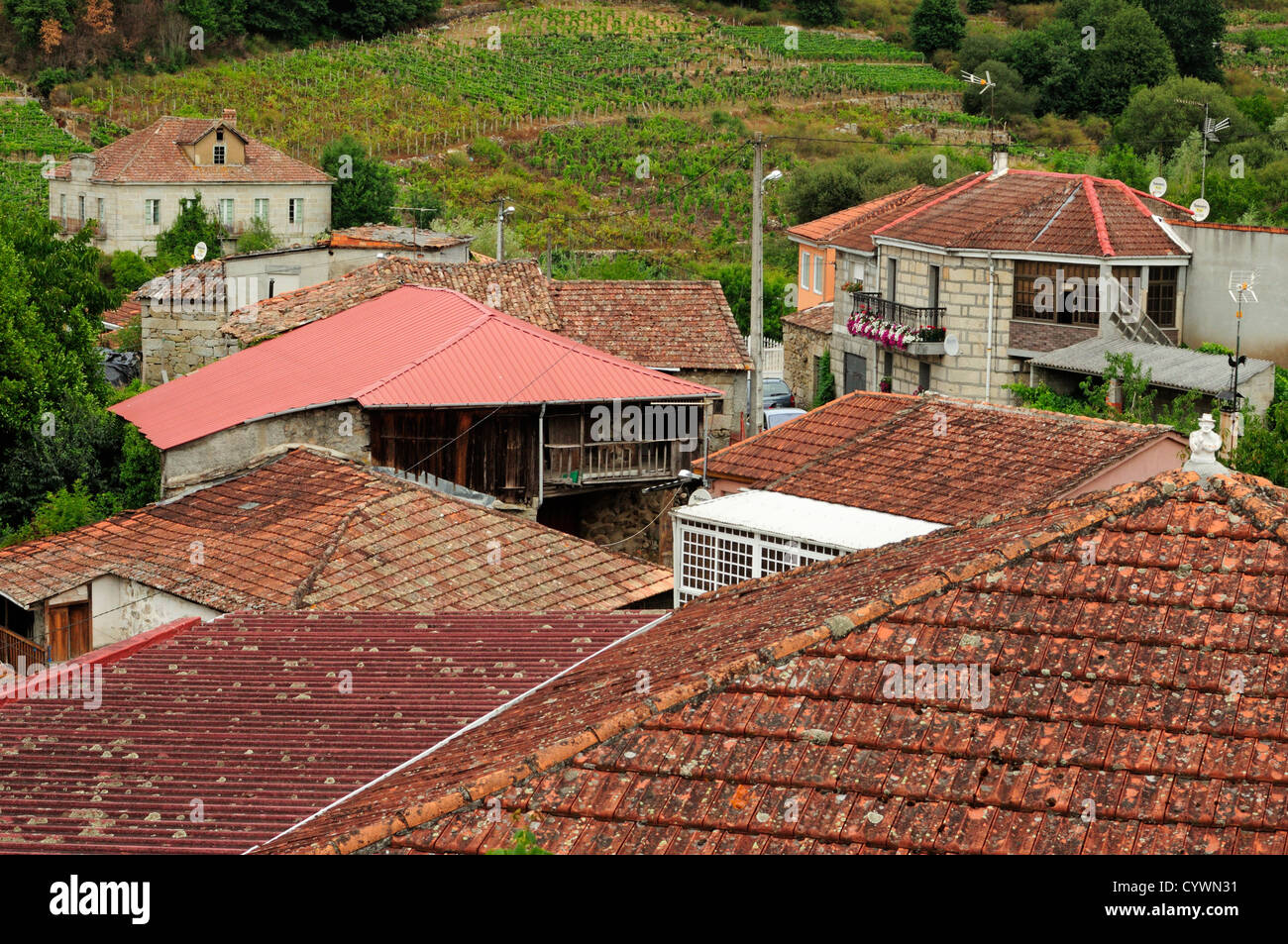 Ribeiro wine hi-res stock photography and images - Alamy