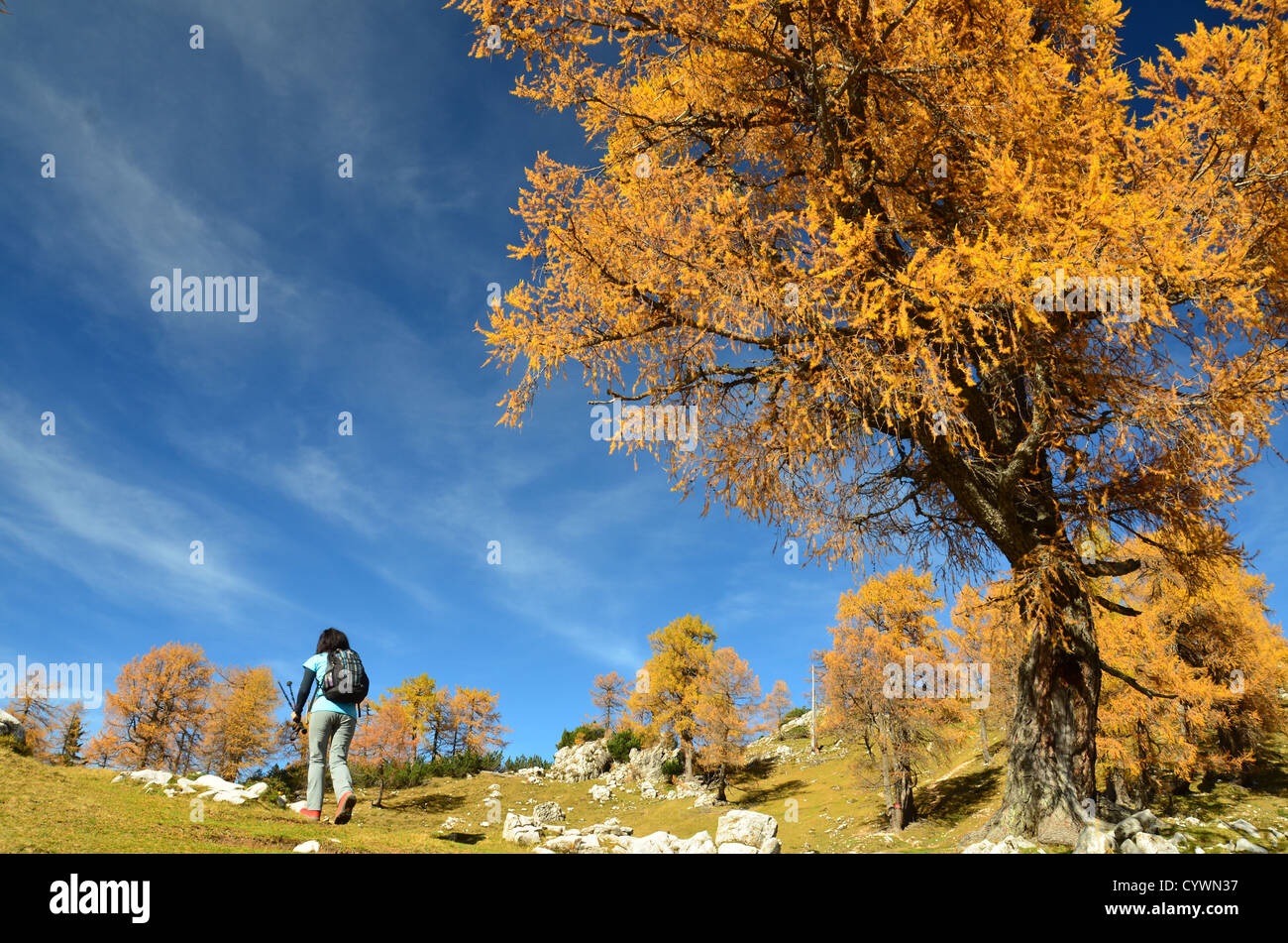 Sleme at Julian Alps, Slovenia Stock Photo - Alamy