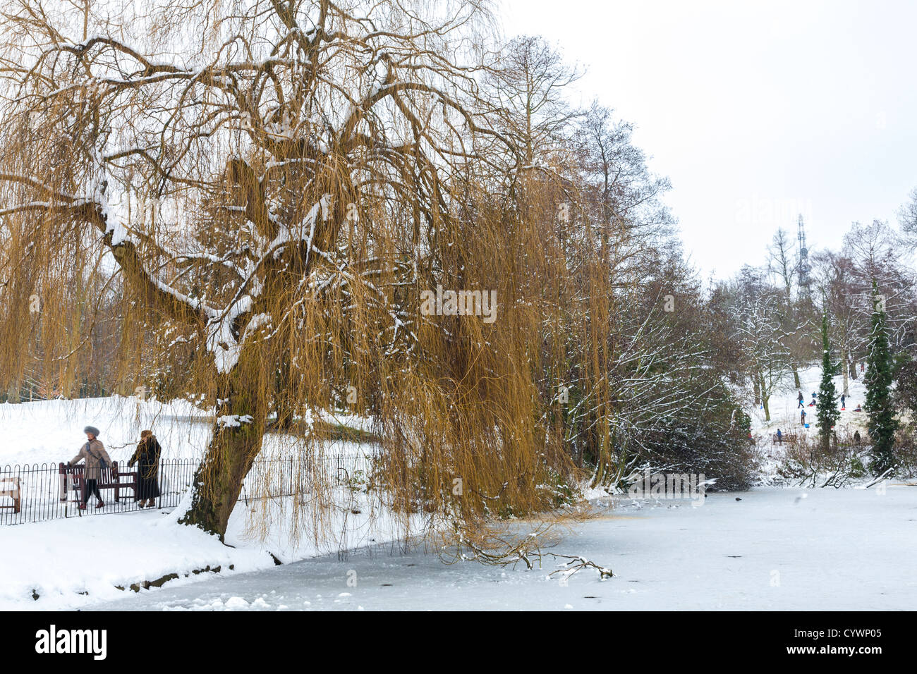 Snow in Waterlow Park, Highgate, London Stock Photo - Alamy