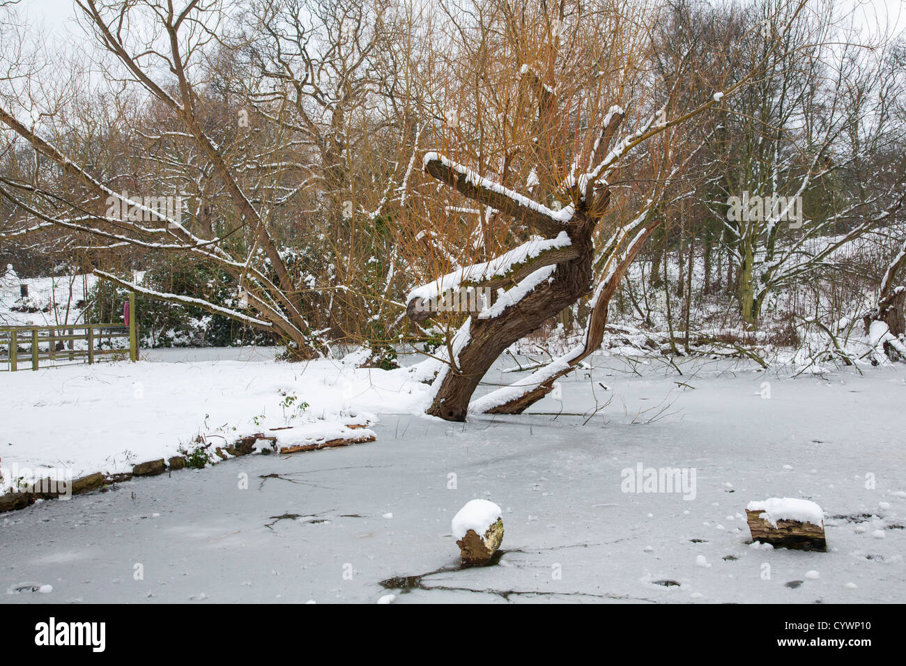 Snow in Waterlow Park, Highgate, London Stock Photo - Alamy