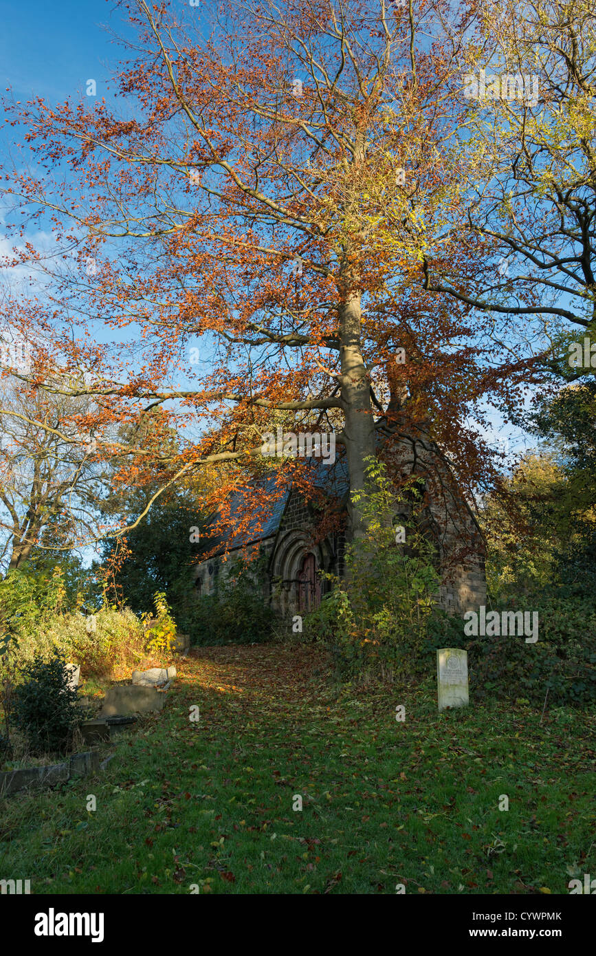 Churchyard trees hi-res stock photography and images - Alamy