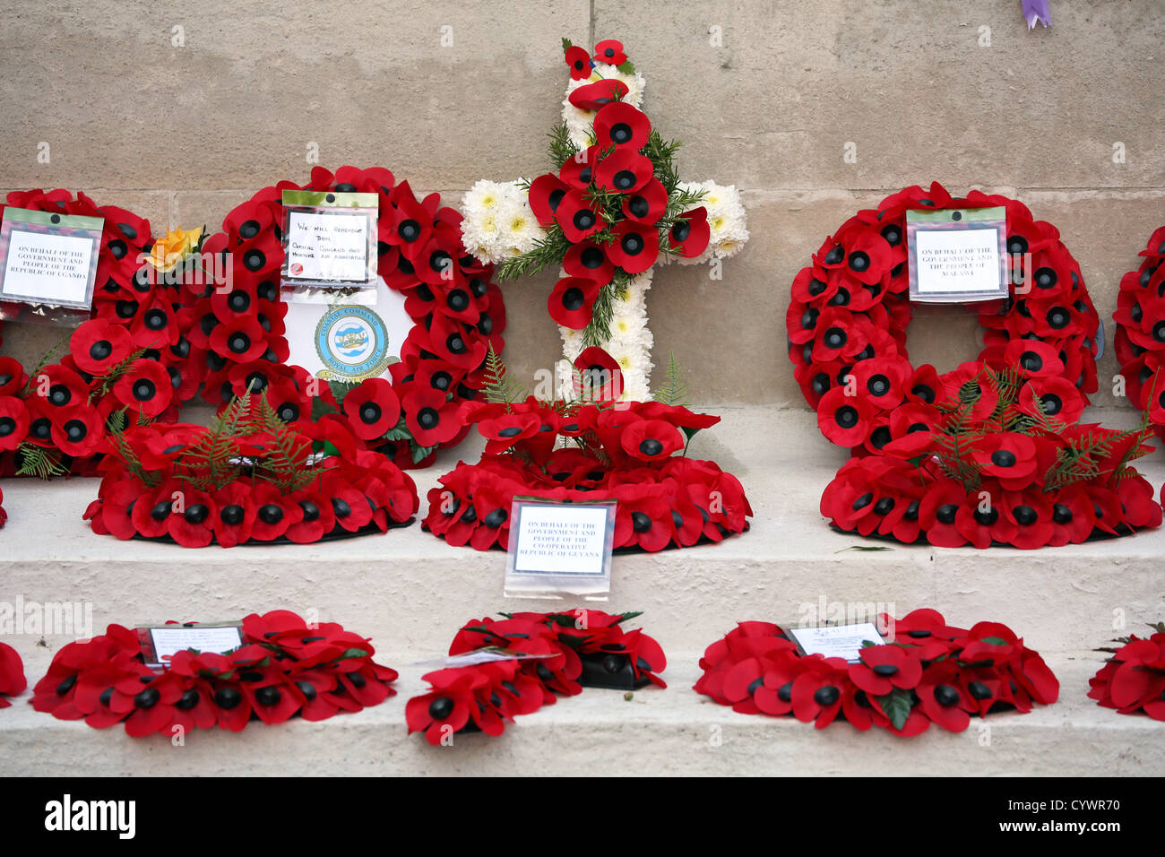 Remembrance day poppy london hi-res stock photography and images - Alamy