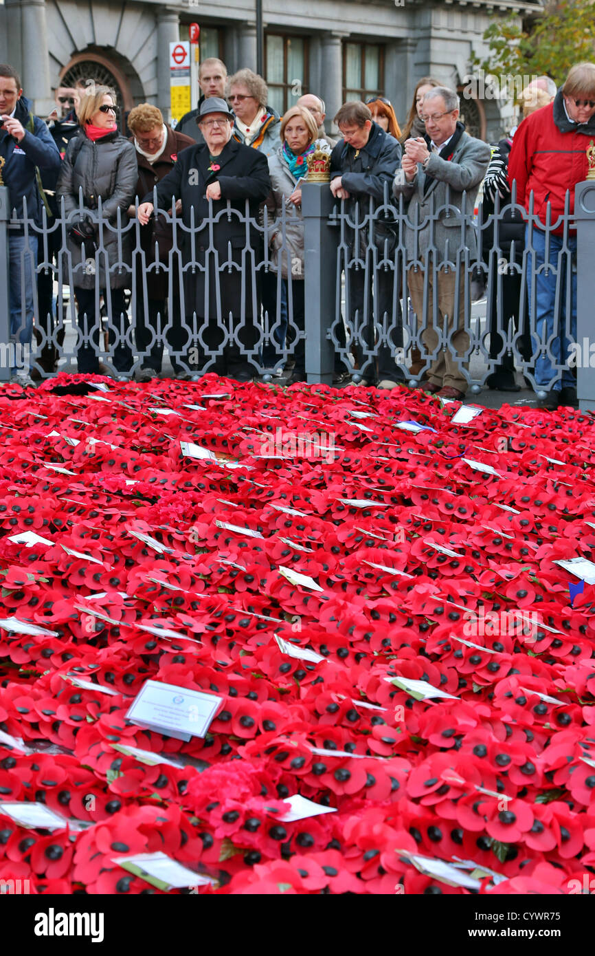 Remembrance day ceremony poppy hi-res stock photography and images - Alamy