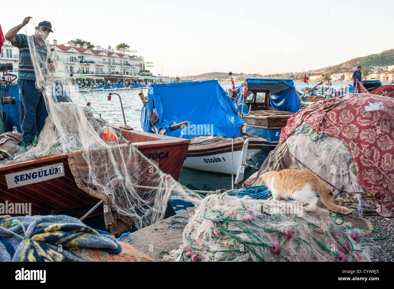 Fisherman in boat hauling a fishing net from the harbour edge into the ...