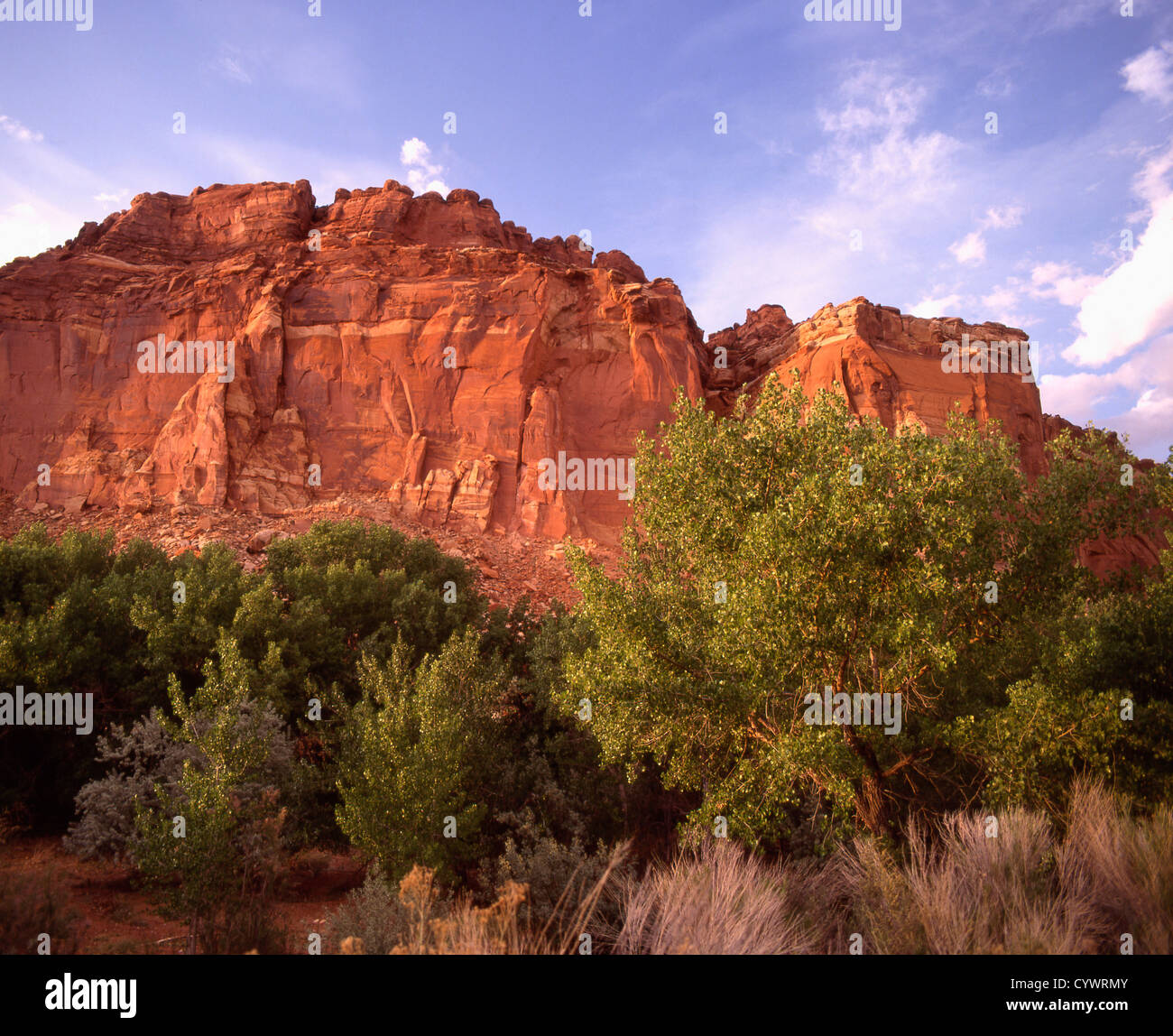 USA, Utah, Capitol Reef National Park, Fruita Stock Photo - Alamy