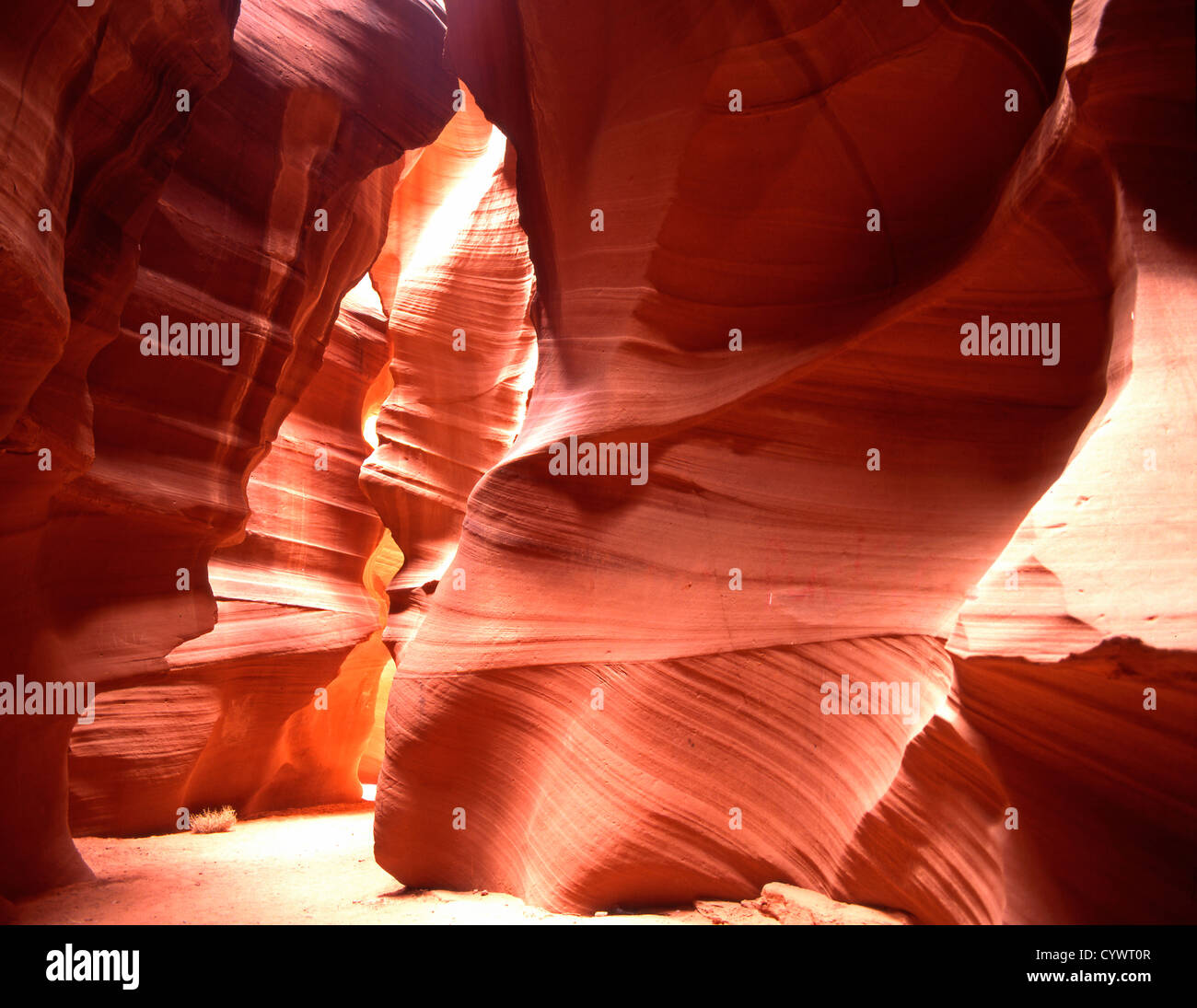 USA, Arizona, Antelope Creek, Corkscrew Canyon Stock Photo - Alamy