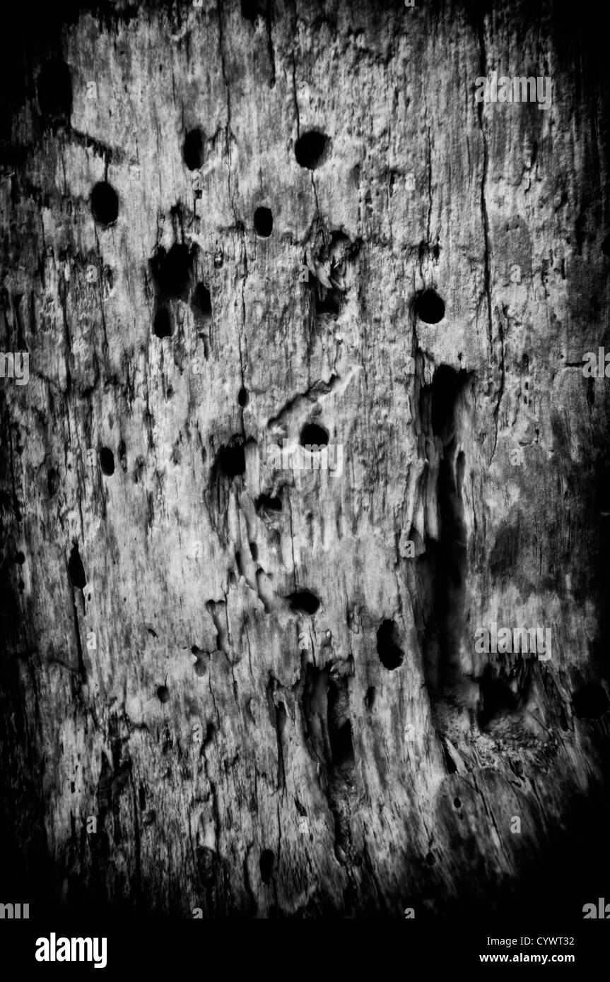 Strong wooden structure Black and White Stock Photos & Images - Alamy