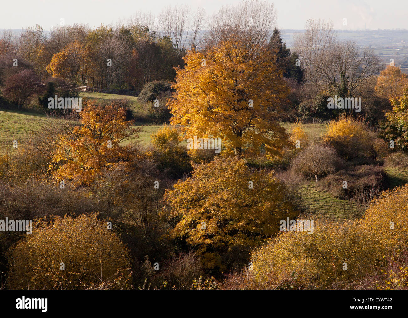 Stathern hi-res stock photography and images - Alamy