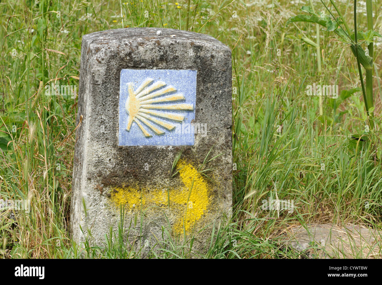 Scallop shell symbol marking the pilgrim's path to Santiago de ...