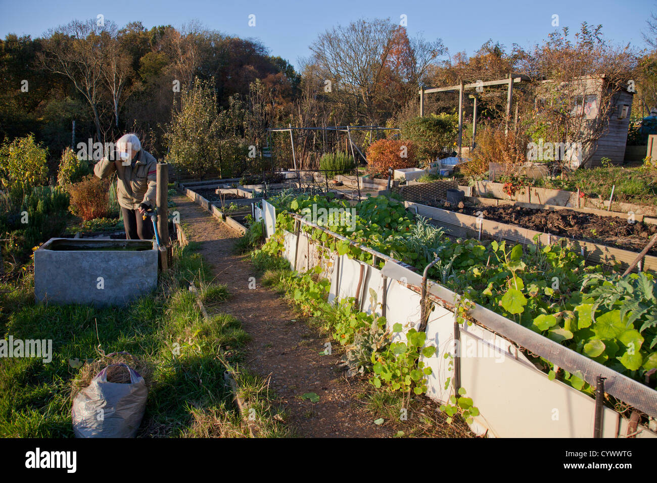 Communal garden hi-res stock photography and images - Alamy