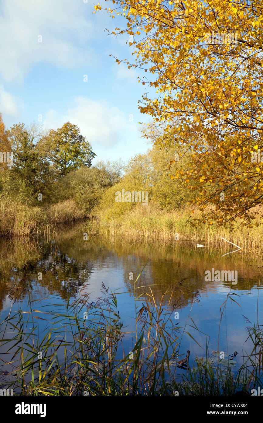 Fenland cambridgeshire hi-res stock photography and images - Alamy