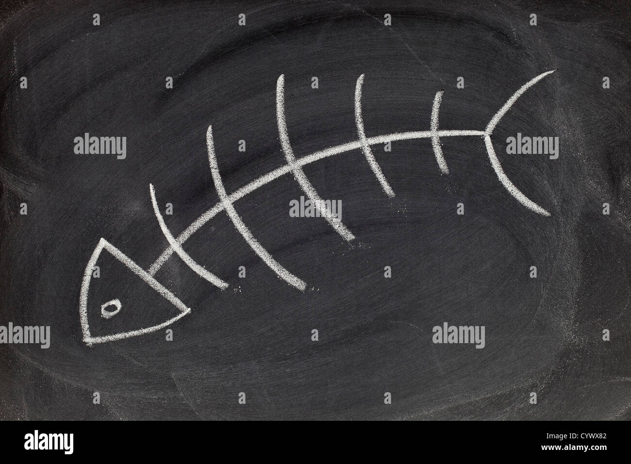 fish skeleton - white chalk drawing on blackboard with eraser smudges ...