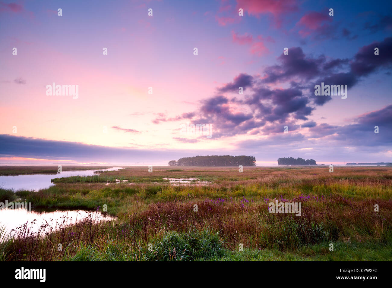 colorful sunrise over swamp in Drenthe Stock Photo - Alamy