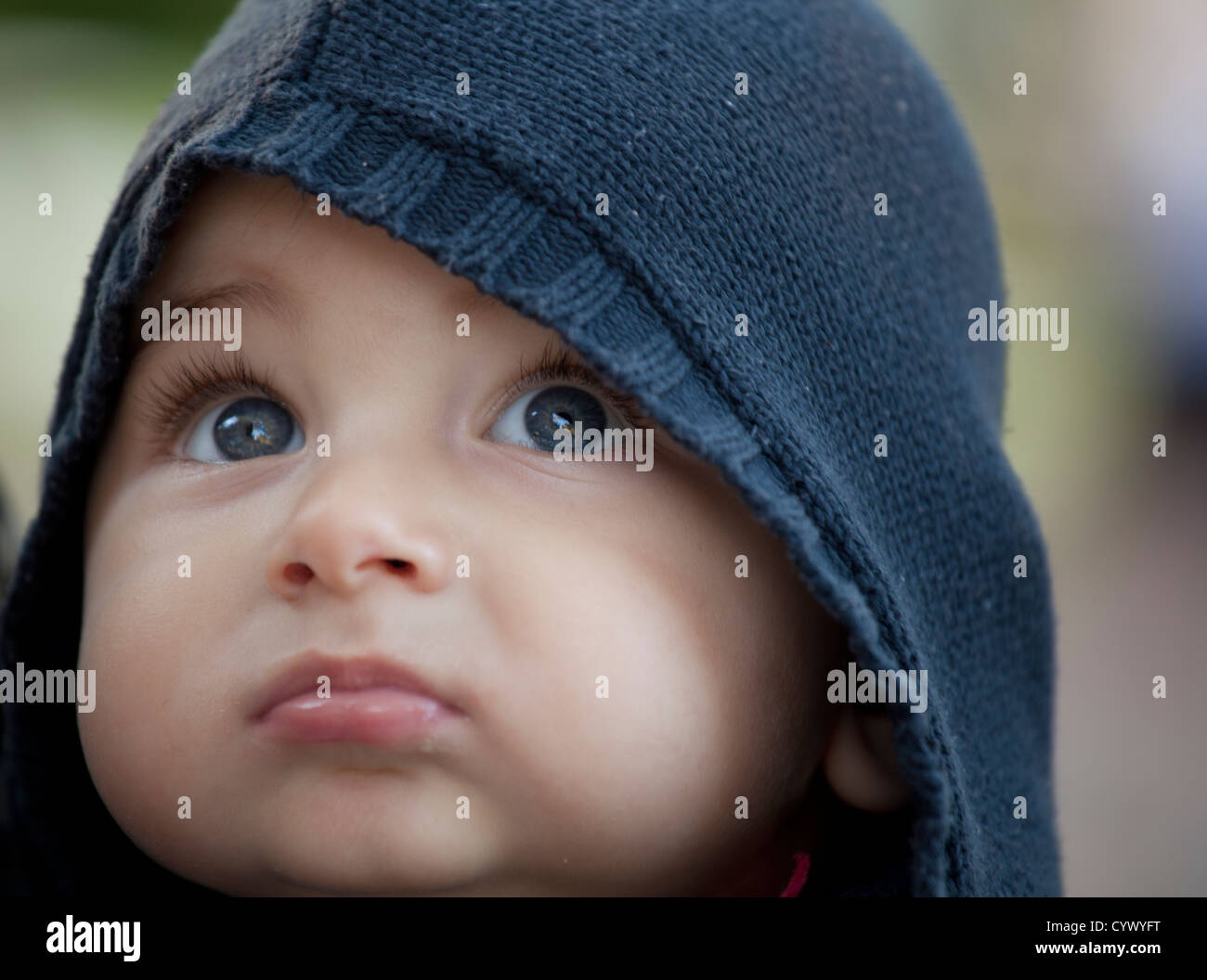 Sweet Cute Little Boy Stock Photo Alamy sweet-cute-little-boy-stock-photo-alamy