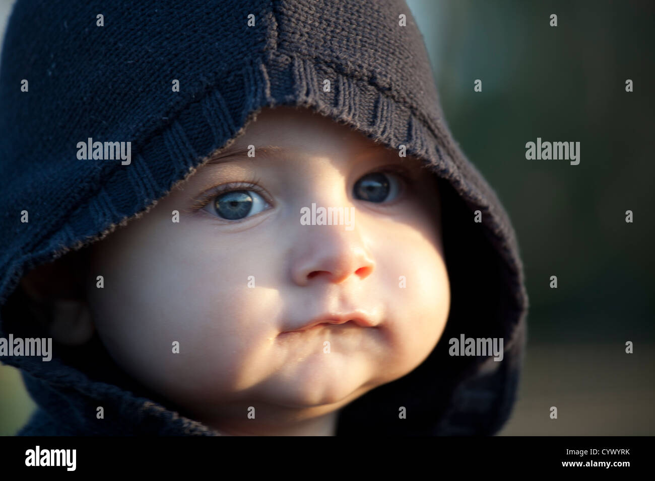Sweet cute little boy Stock Photo - Alamy
