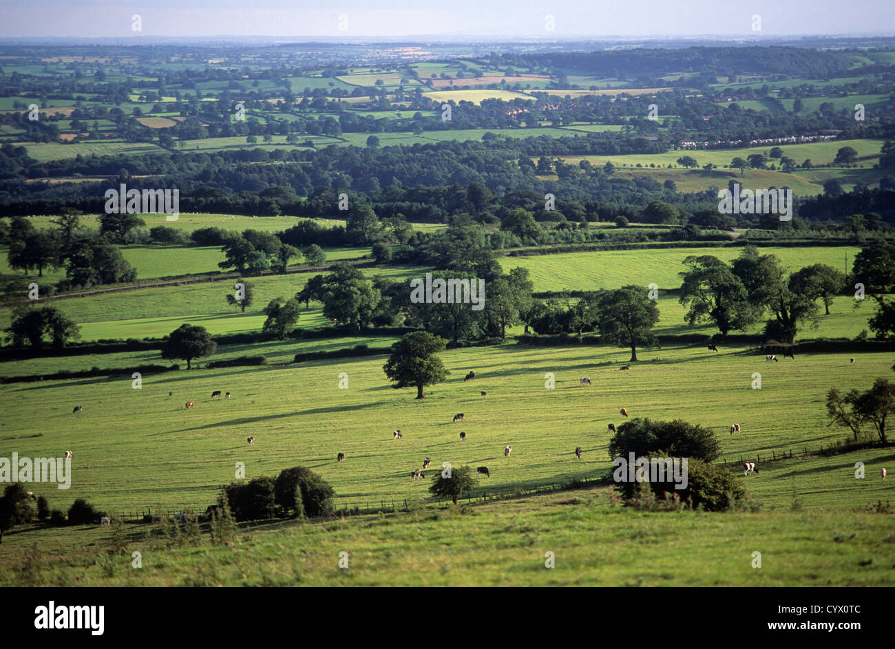 Panoramic view of rural England, Staffordshire, UK Stock Photo - Alamy