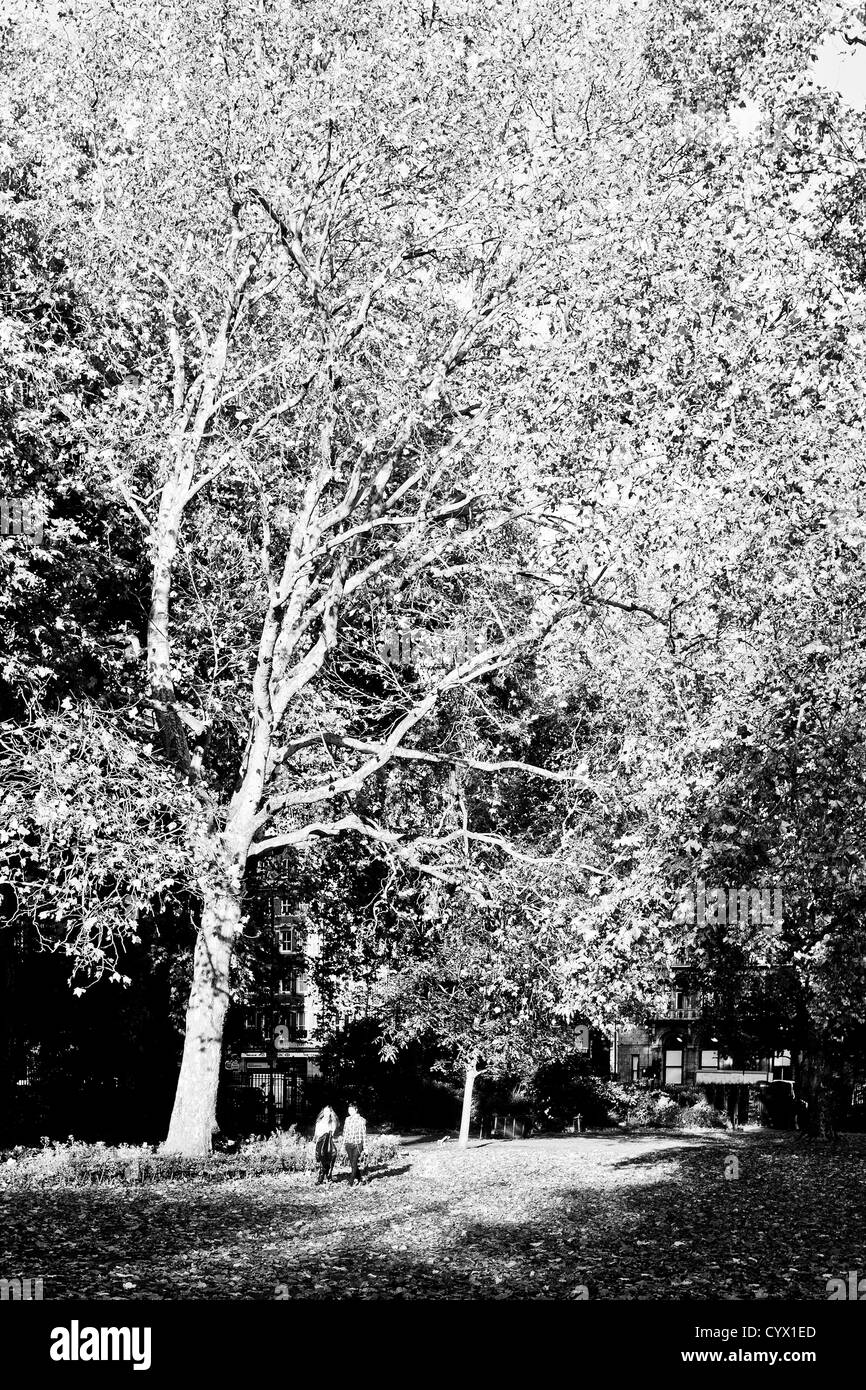 Russell square autumn Black and White Stock Photos & Images - Alamy