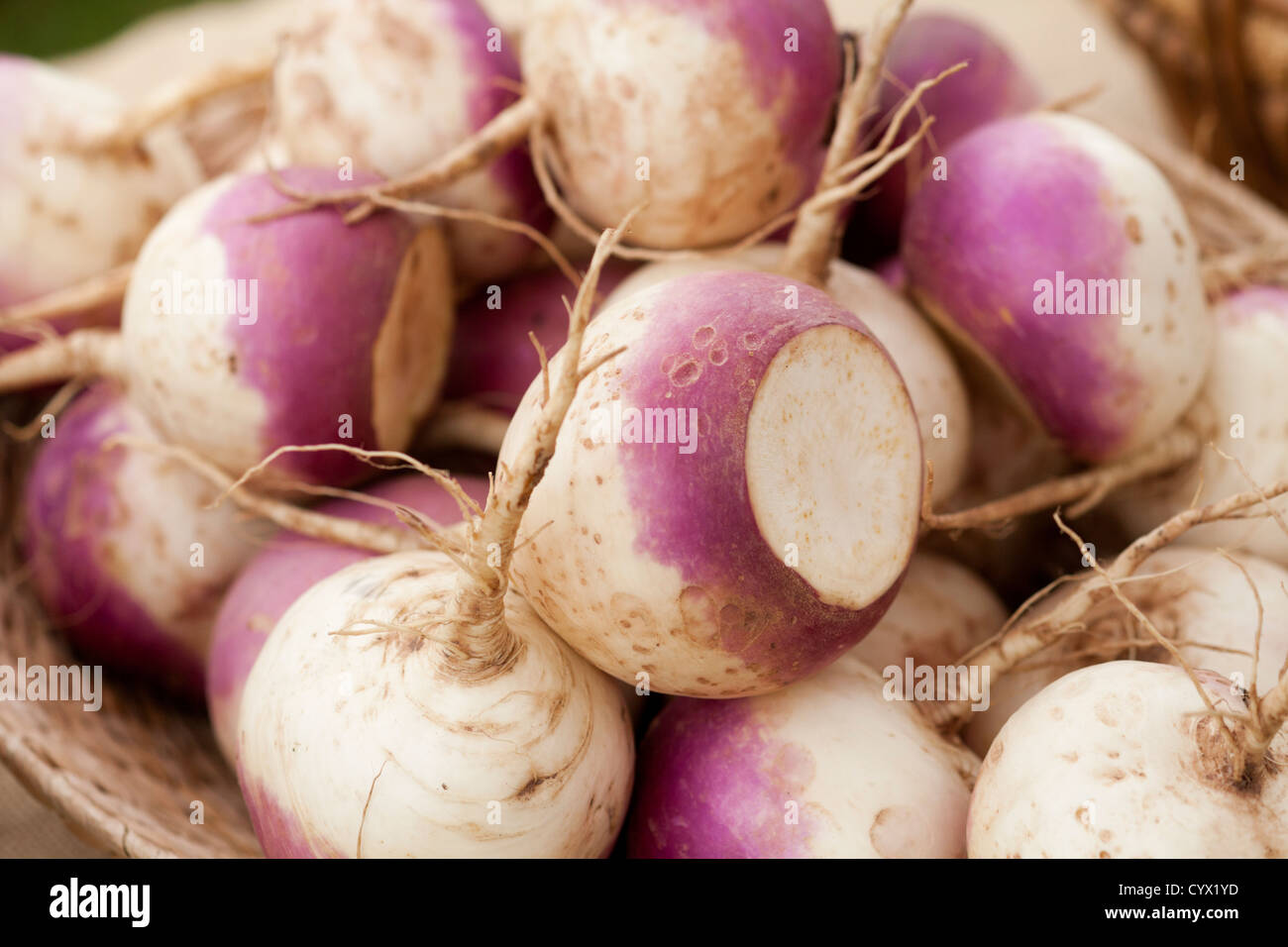 Turnips hi-res stock photography and images - Alamy