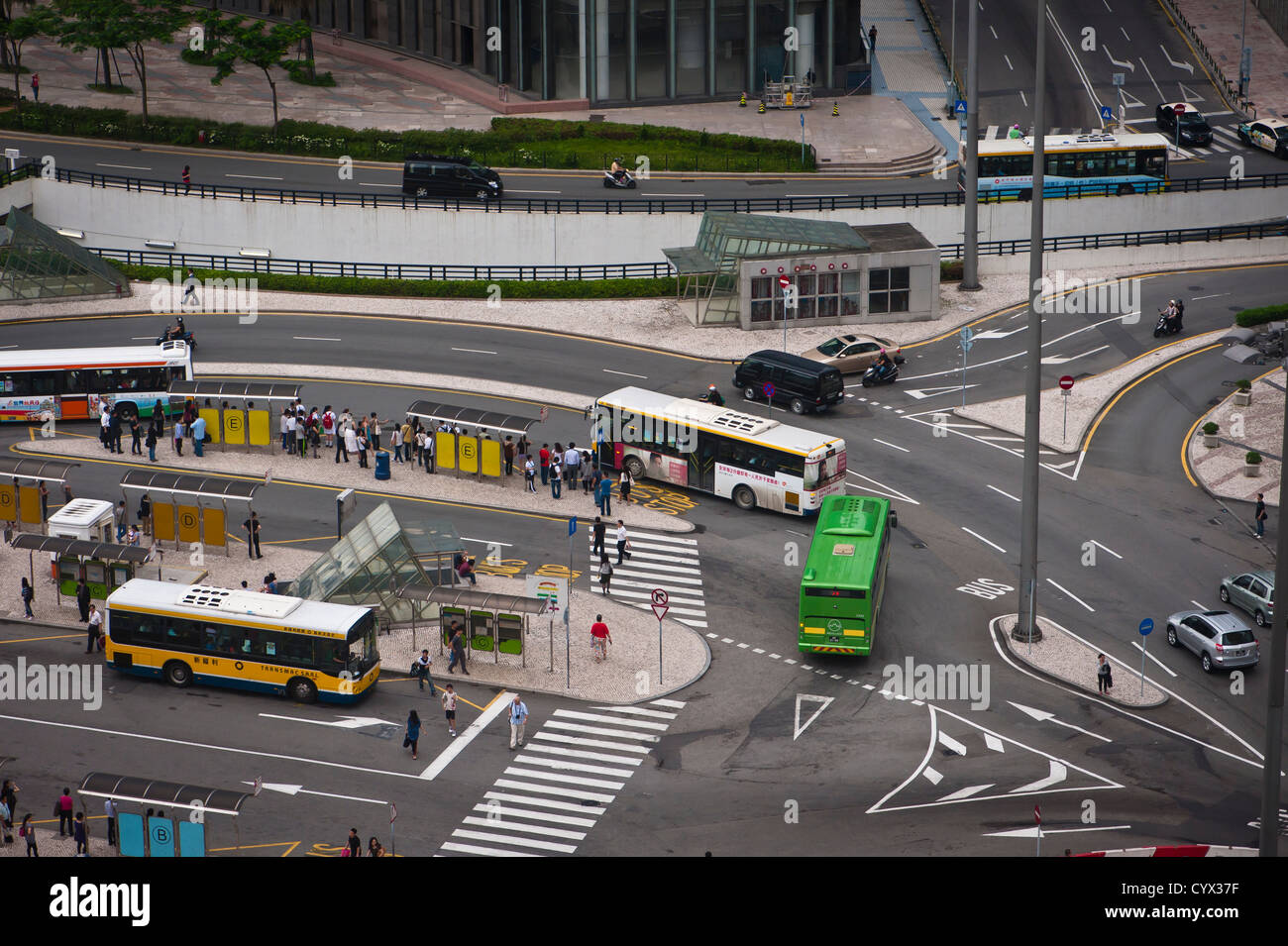 Busy birds hi-res stock photography and images - Alamy