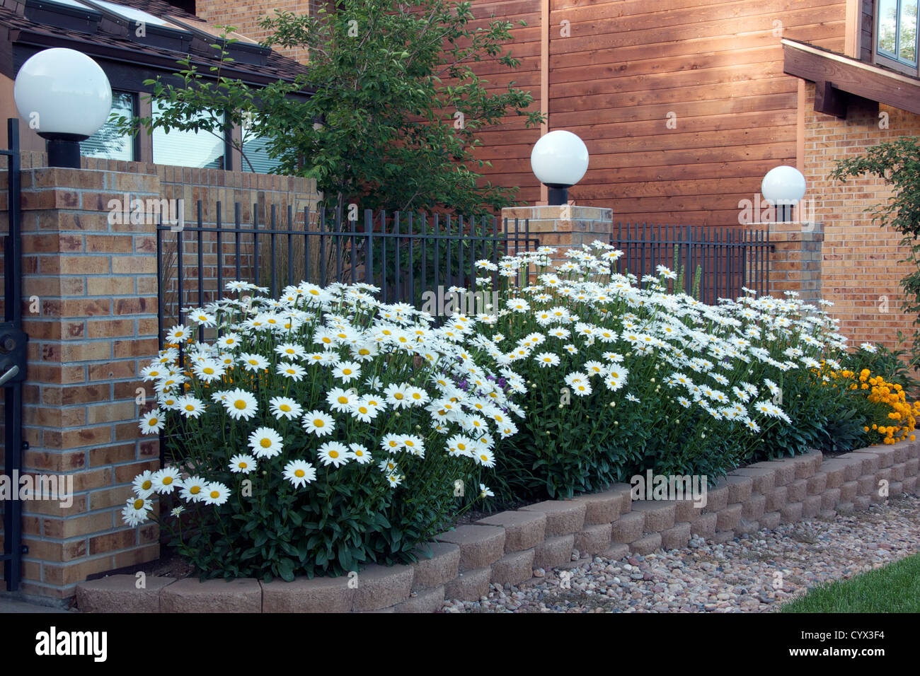 Raised bed border hi-res stock photography and images - Alamy