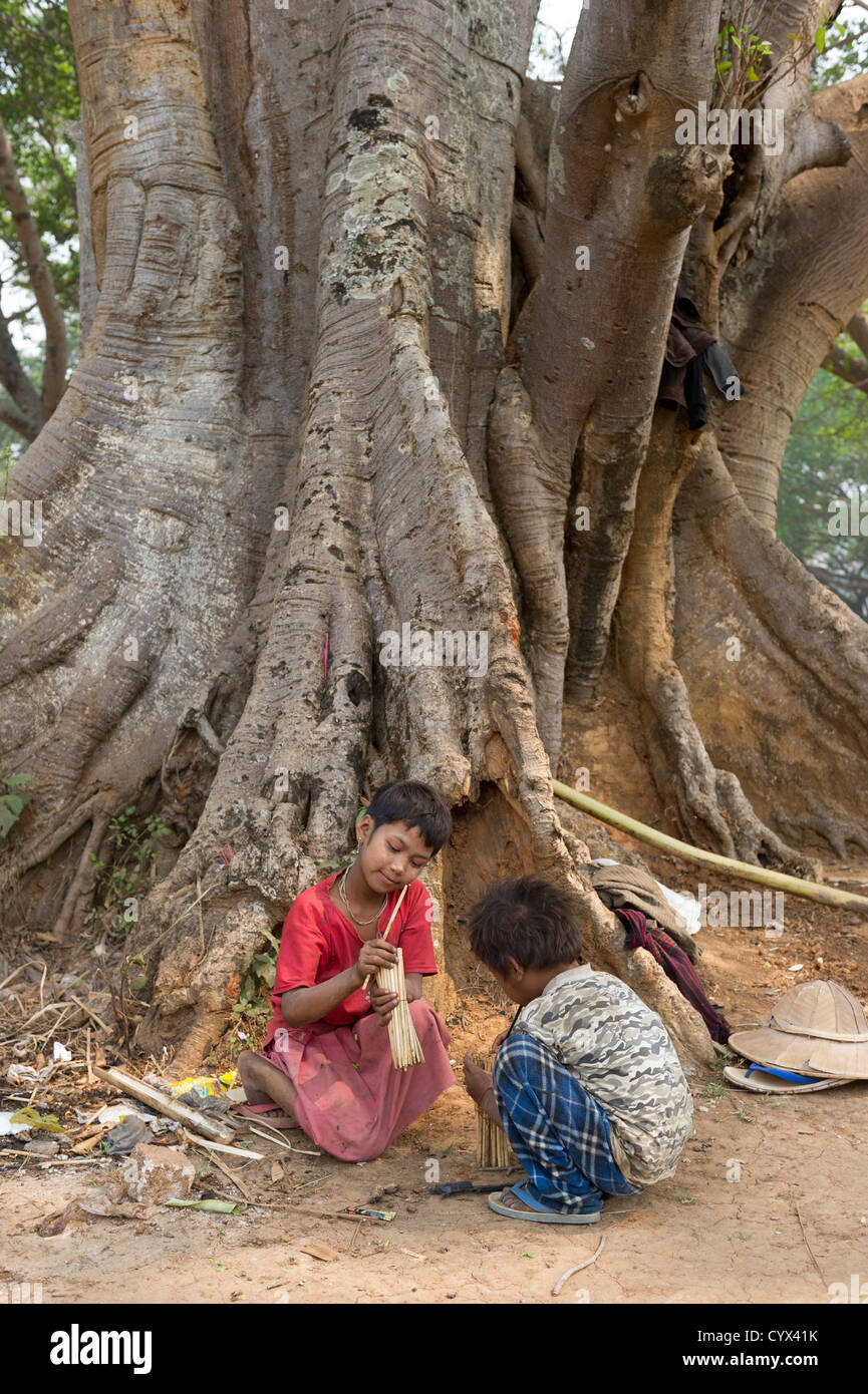 Children playing under a Banyan tree in Pindaya Myanmar Burma Stock ...