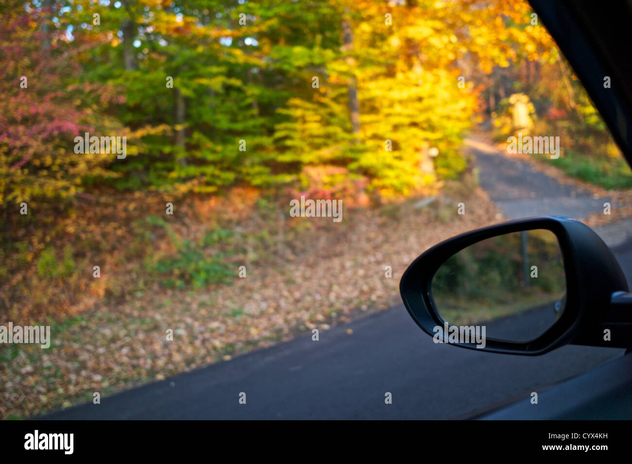 Road decorated by the autumn foliage viewed from inside a car, rear ...