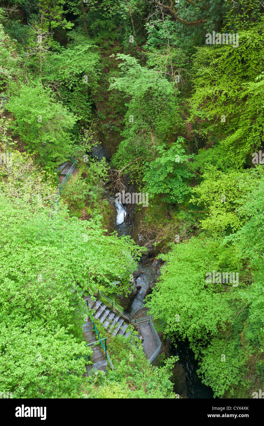 Wales, Devil's Bridge Falls Stock Photo - Alamy