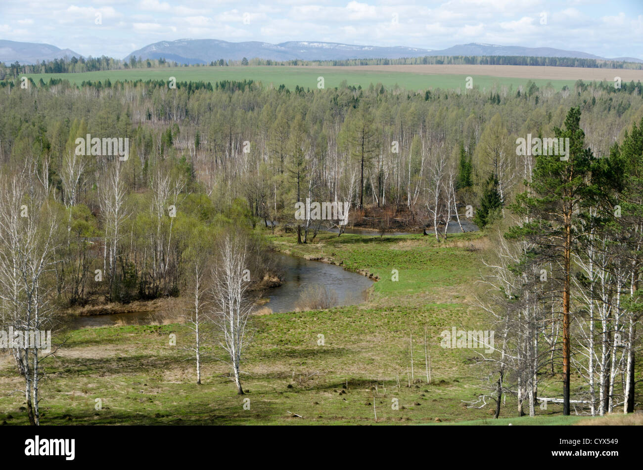 Forest and grassland, Siberia, Russia Stock Photo - Alamy