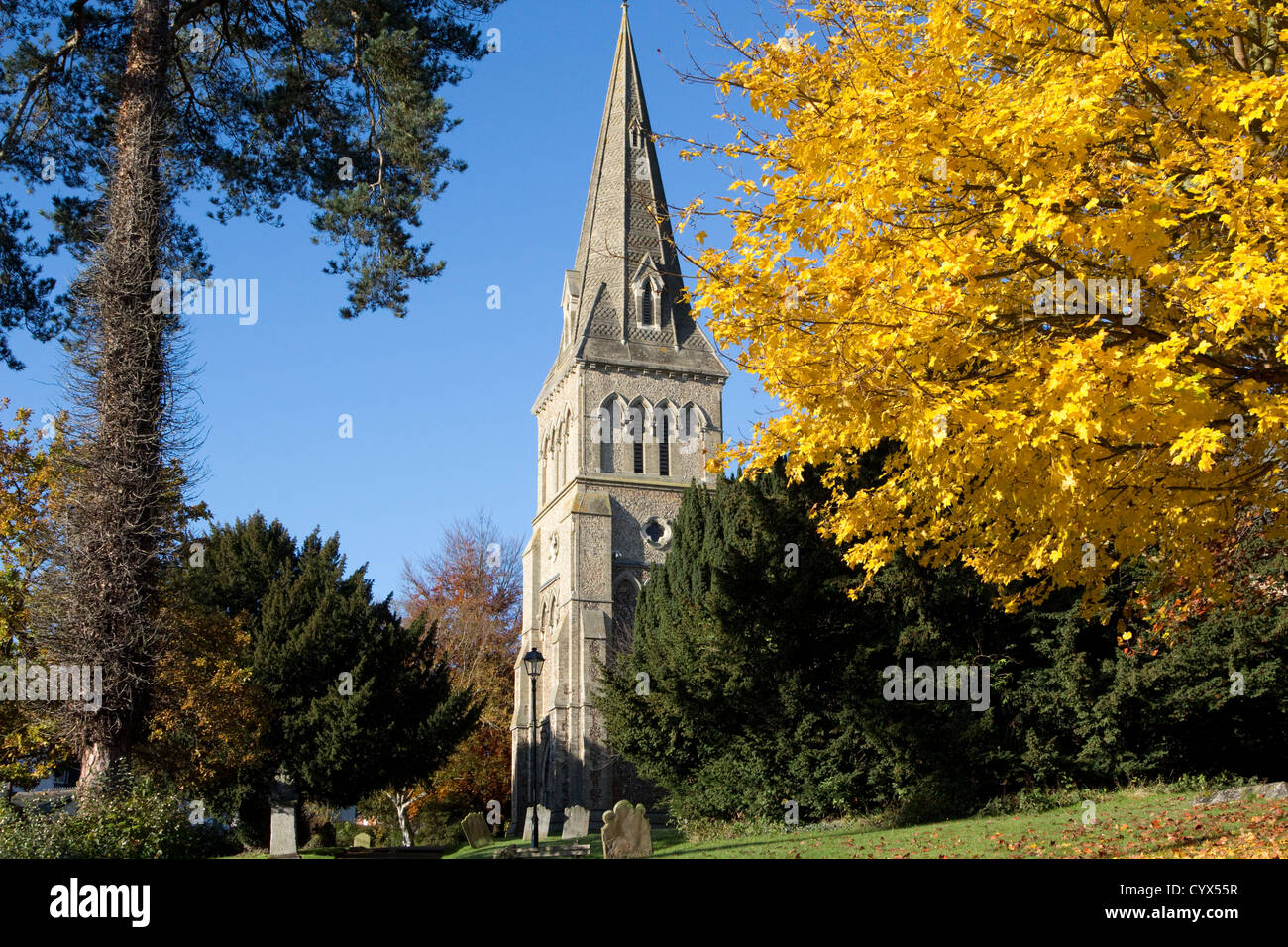 Halstead essex hi-res stock photography and images - Alamy